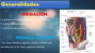 FISIOLOGIA DE LA GLANDULA TIROIDES | PPTX