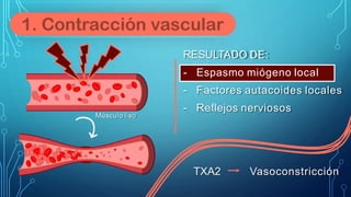 Fisiologia de la hemostasia ppt.pptx