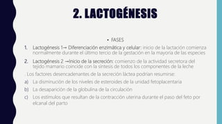 FISIOLOGIA DE LA LACTACIóN tp.pptx