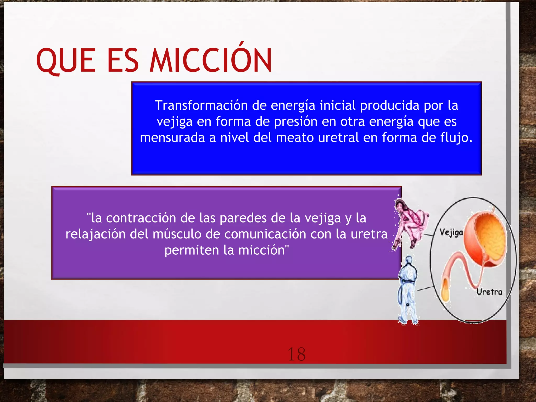 Fisiologia de la miccion e incontinencia urinaria smith | PPT