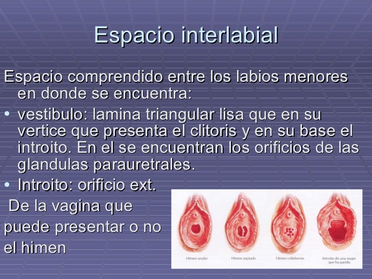 Fisiologia Del Aparato Reproductor Femenino