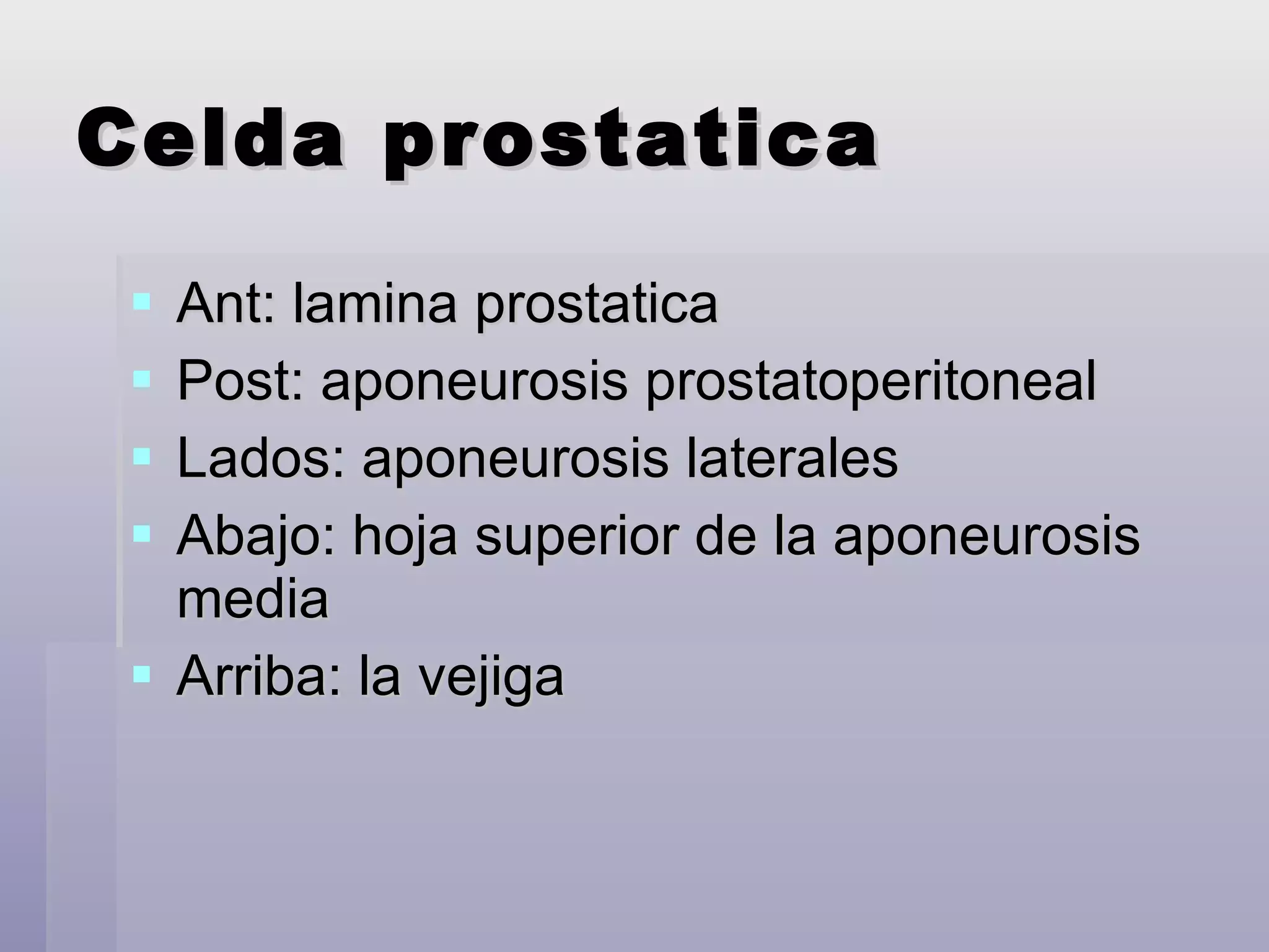 Fisiologia del aparato reproductor masculino