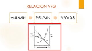 Fisiologia De La Respiracion Pptx
