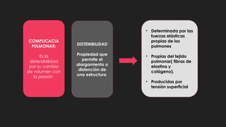 Fisiologia de la respiracion en el sistema respiratorio | PPTX