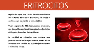 Fisiologia de la sangre | PPTX