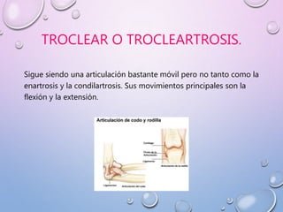 Fisiologia de las articulaciones | PPTX