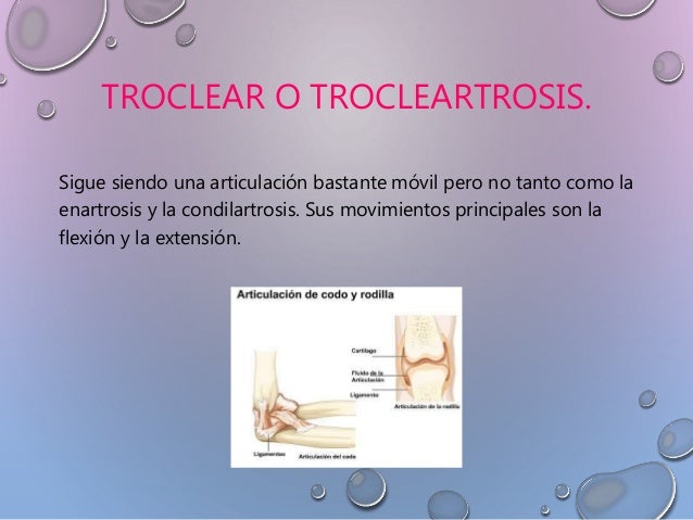 Fisiologia de las articulaciones