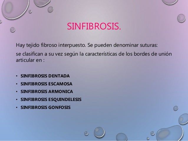 Fisiologia de las articulaciones