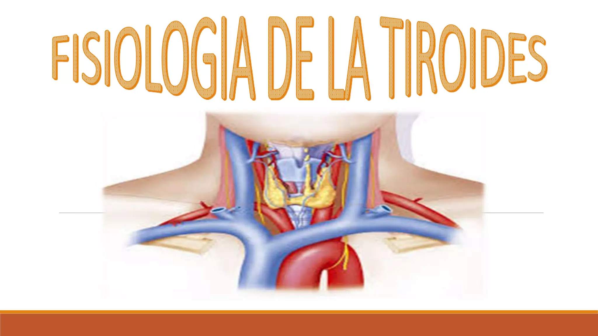 Fisiologia de la tiroides | PPTX