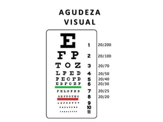 Fisiologia de la vision | PPTX