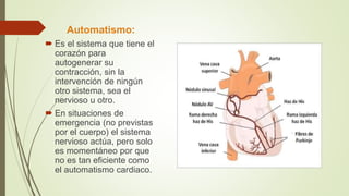Fisiologia del corazon | PPTX