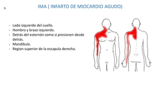 Fisiologia del dolor | PPTX
