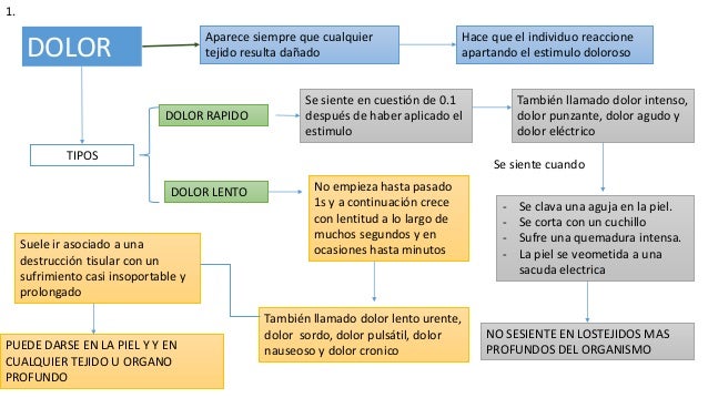 Teorias Del Dolor Fisiopatologia Ppt Enfermeria Ppt