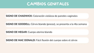 Fisiologia Del Embarazo Se Define Como Estado Fisiológico Que Inicia