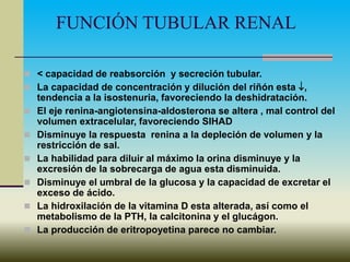 Fisiologia del envejecimiento | PPT