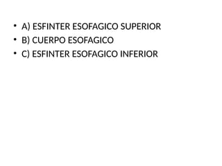 FISIOLOGIA DEL ESOFAGO UNA MIRADA MAS.pptx