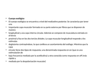 FISIOLOGIA DEL ESOFAGO UNA MIRADA MAS.pptx
