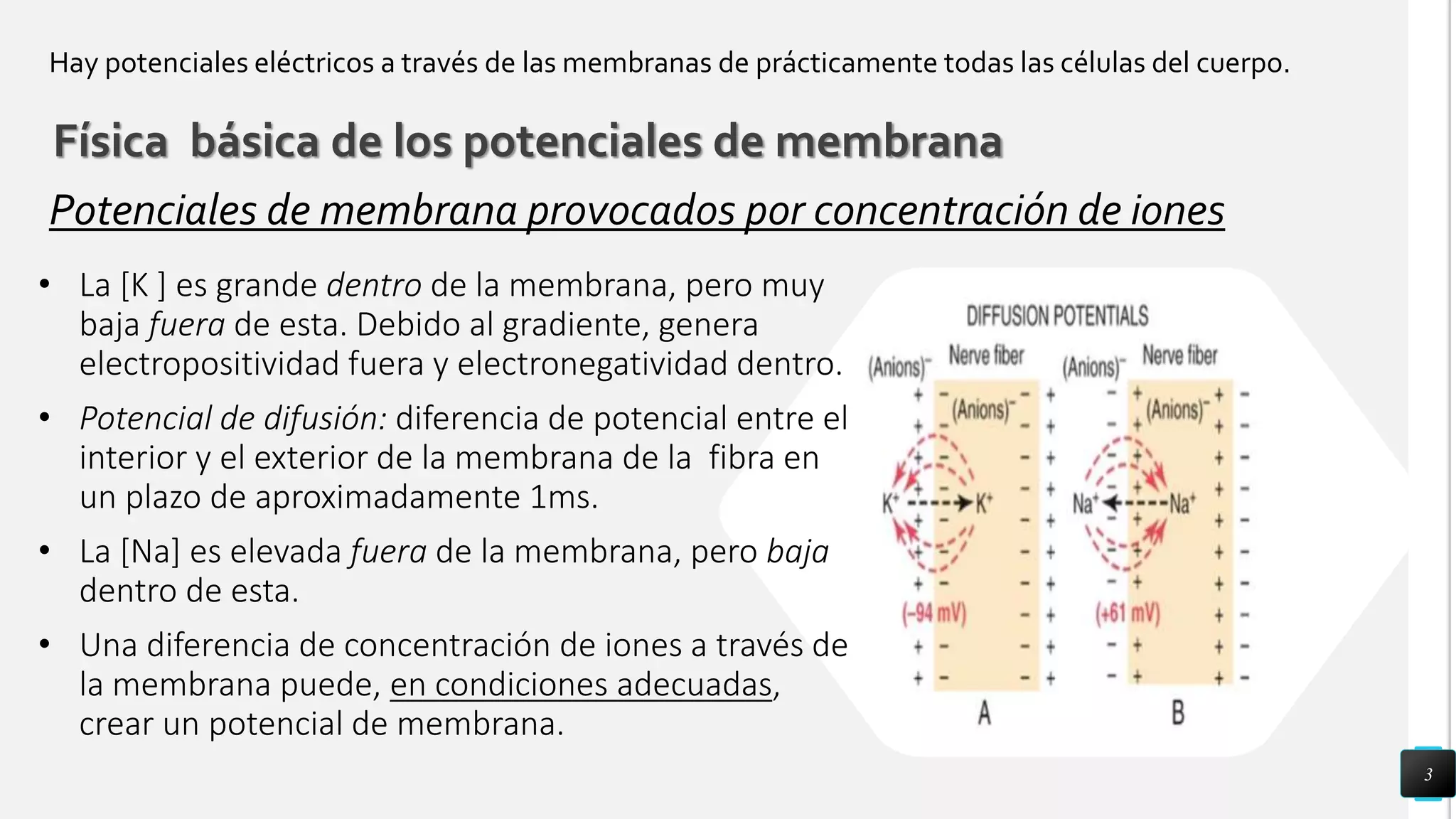 Fisiologia del musculo Guyton y Hall | PPTX