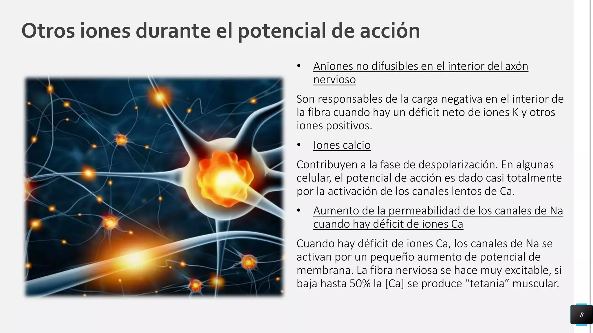 Fisiologia del musculo Guyton y Hall | PPTX