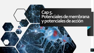 Fisiologia del musculo Guyton y Hall | PPTX