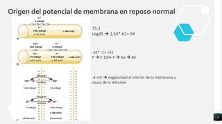 Fisiologia del musculo Guyton y Hall | PPTX