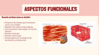 todo acerca de la Fisiología del musculo cardiaco.pdf