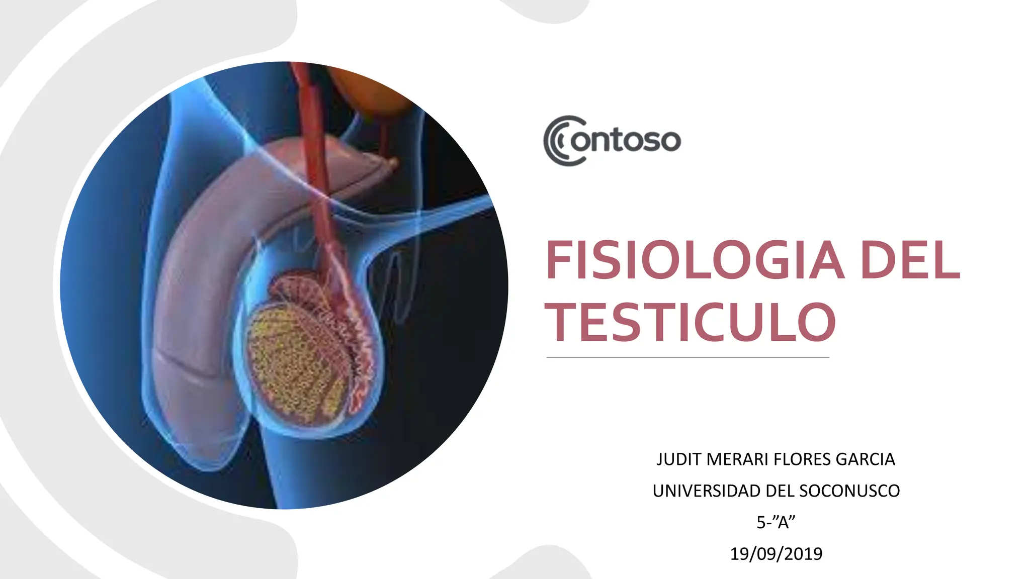 FISIOLOGIA DEL TESTICULO 2 TRATADO jj.pptx