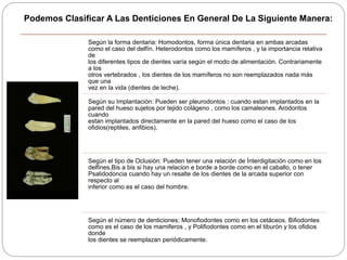 Fisiologia dentomaxilofacial | PPTX