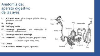 Fisiología digestiva de las aves DOMESTICAS | PPTX