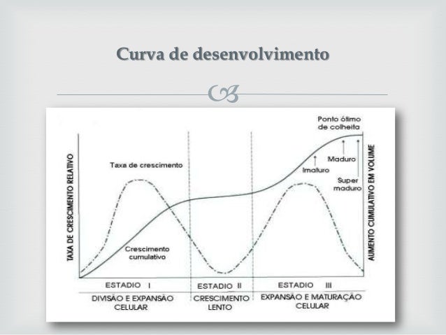 Fisiologia do desenvolvimento dos frutos