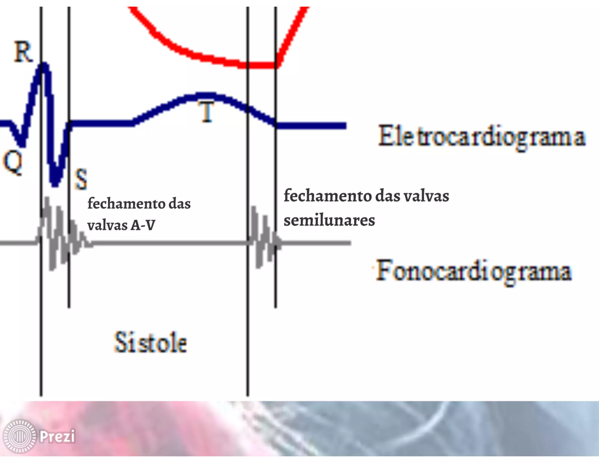 Fisiologia do exercício sistema cardiovascular | PDF