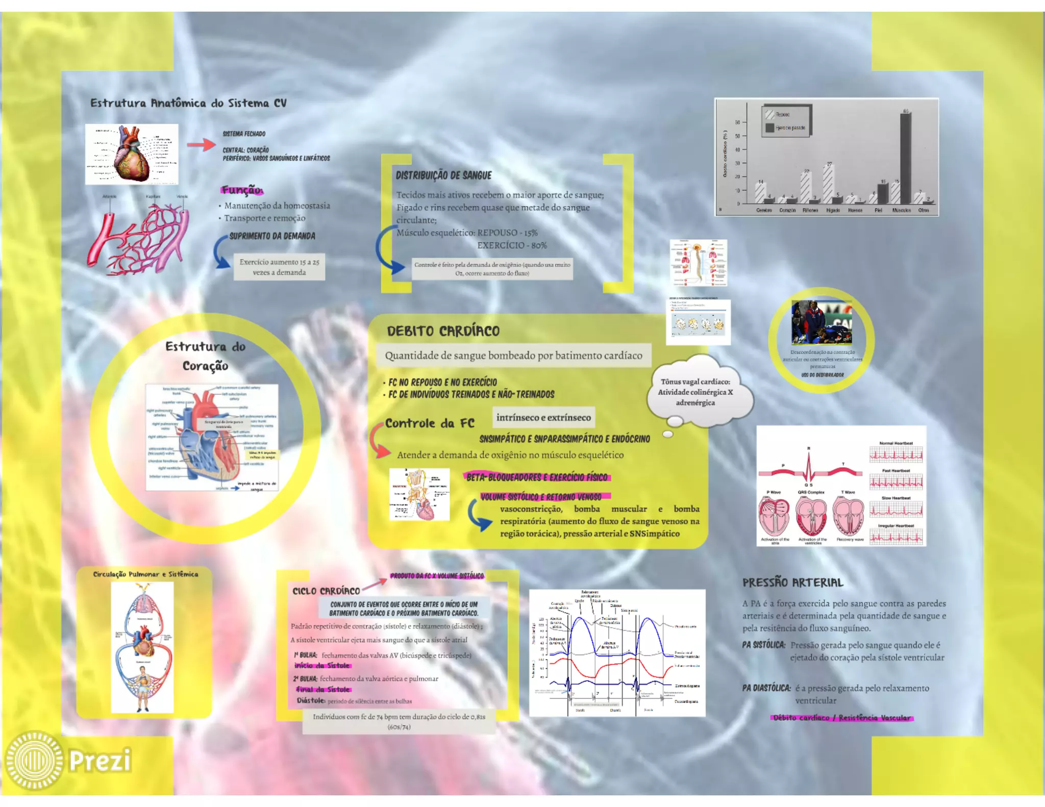 Fisiologia do exercício sistema cardiovascular | PDF