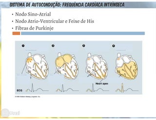Fisiologia do exercício sistema cardiovascular | PDF