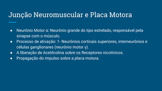 Fisiologia do movimento | PDF