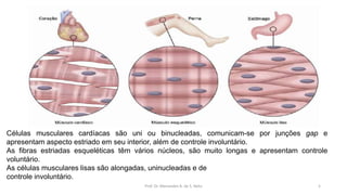 Fisiologia do músculo esquelético.pptx