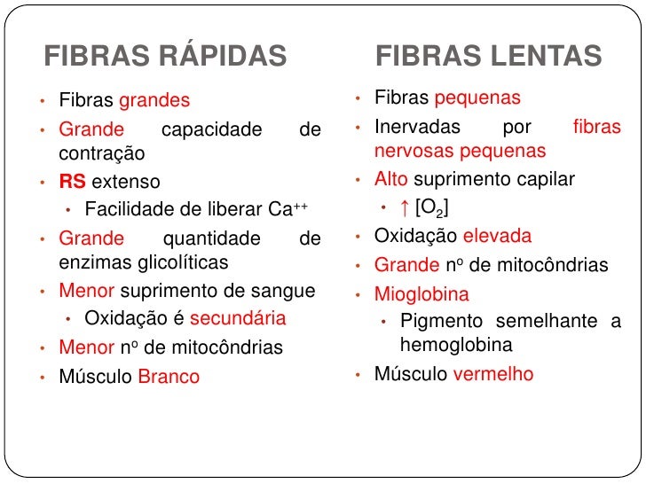 Fisiologia do tecido muscular