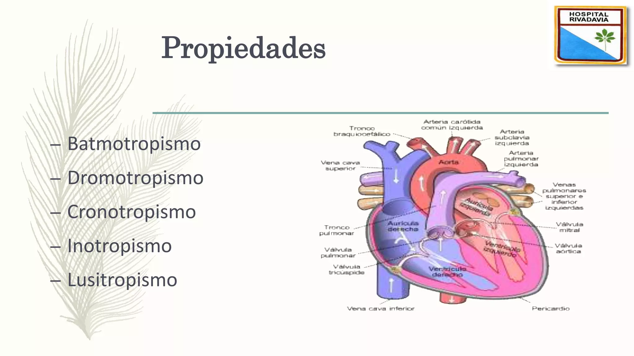 FISIOLOGIA DEL APARATO CARDIOVASCULAR | PPT