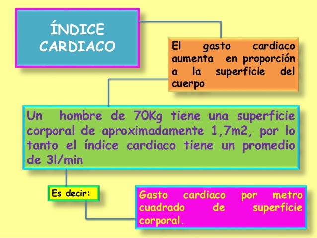 Gasto cardíaco, retorno venoso y su regulación – Brenda Alejandra