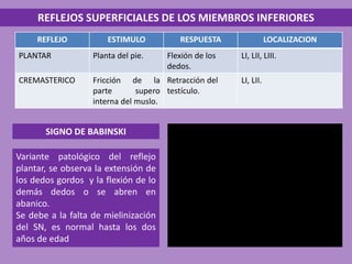 FÁRMACOS QUE AFECTAN LA TRANSMISIÓN NEUROMUSCULAR | PPTX