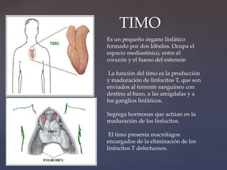 sistema linfatico | PPTX