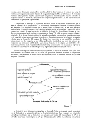 Fisiologia hemostasia | PDF