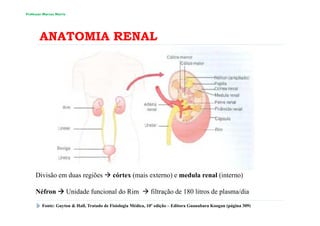 Fisiologia humana v sistema excretor modo de compatibilidade | PDF