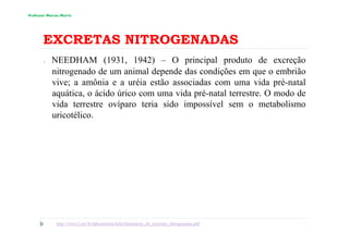 Fisiologia humana v sistema excretor modo de compatibilidade | PDF