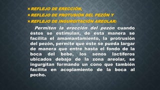 FISIOLOGIA LACTANCIA exposicion HCO 2024.pptx