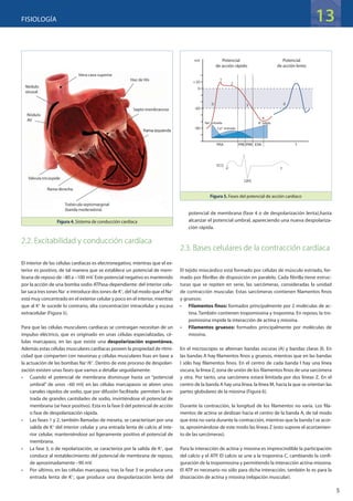 Fisiologia manual cto | PDF
