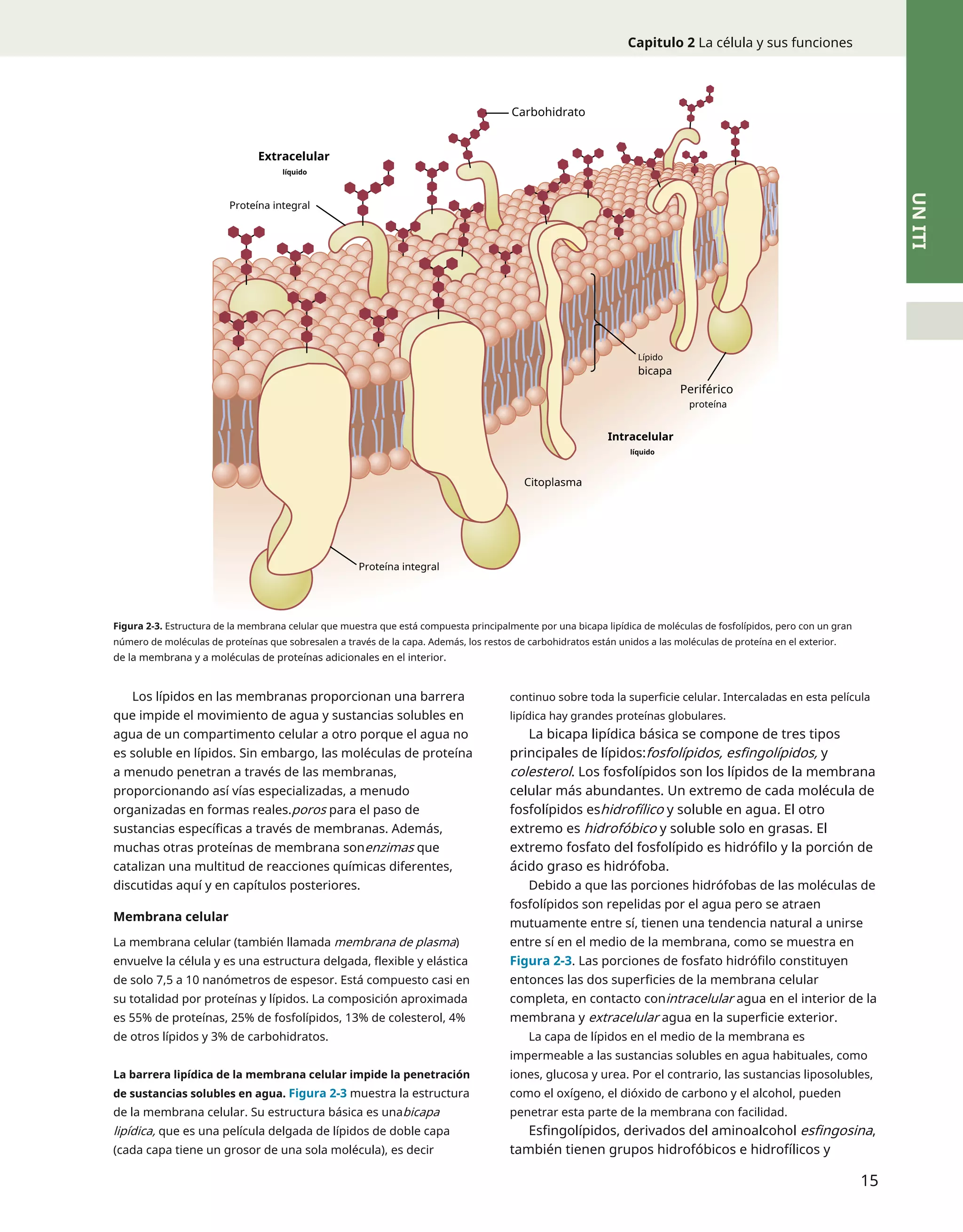 Fisiología médica 14 edición. Guyton y Hall.pdf
