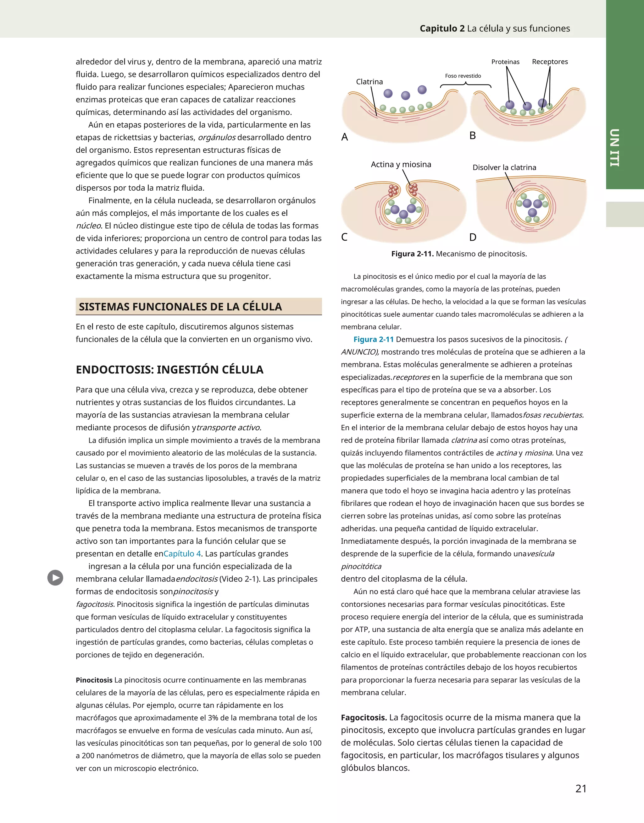 Fisiología médica 14 edición. Guyton y Hall.pdf