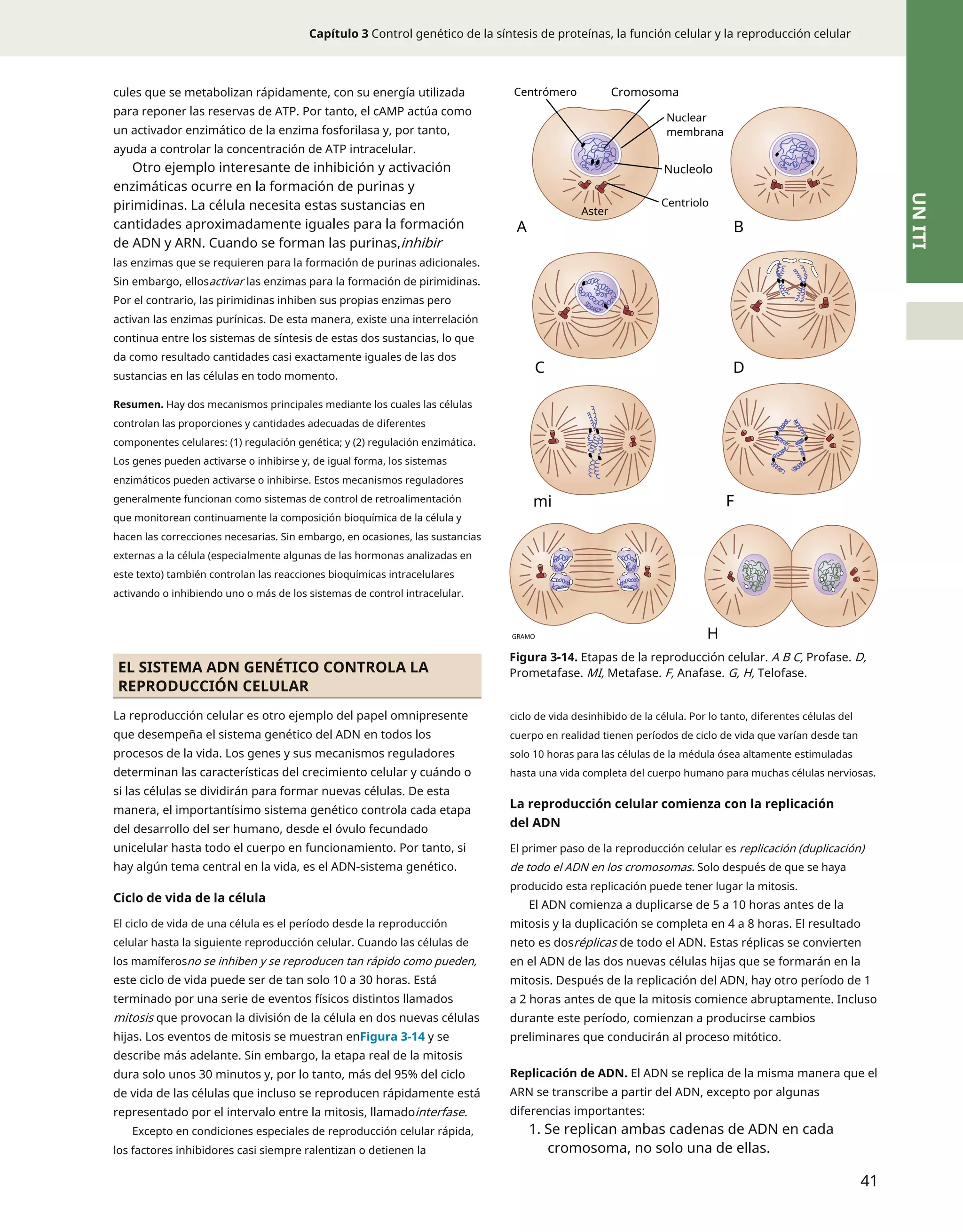 Fisiología médica 14 edición. Guyton y Hall.pdf