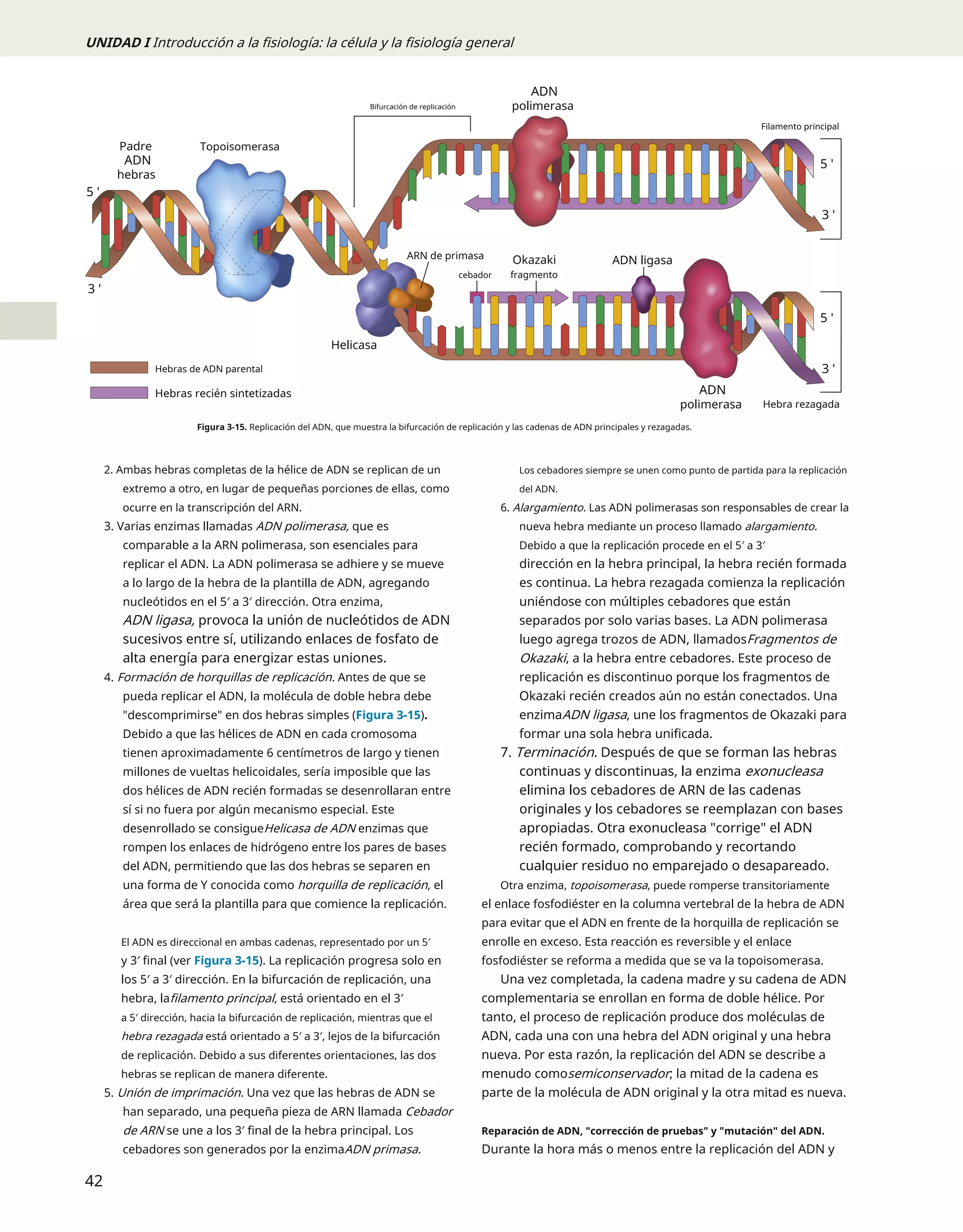 Fisiología médica 14 edición. Guyton y Hall.pdf