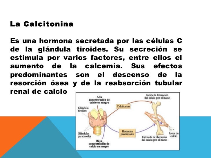 Fisiologia osea i[1]